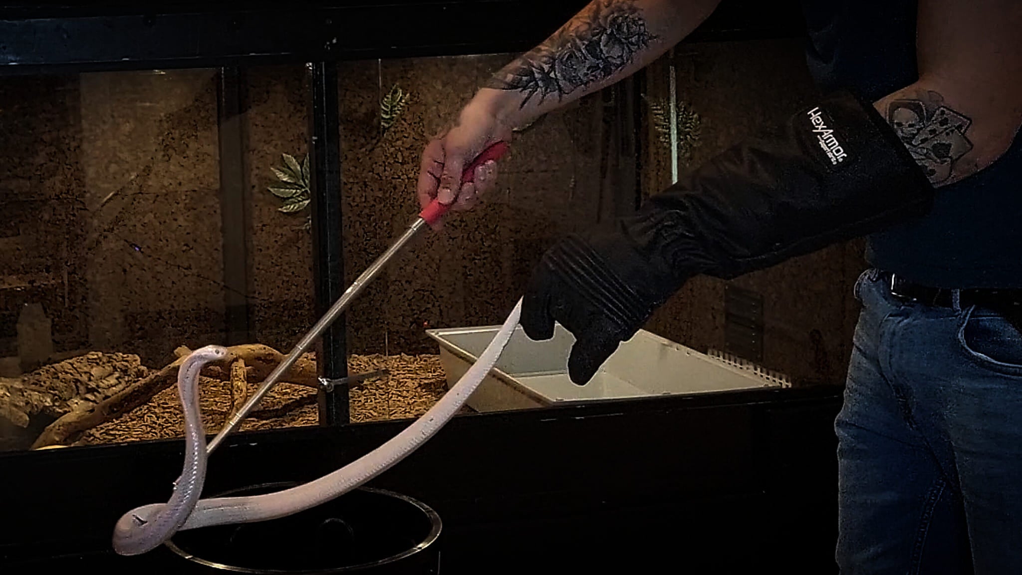 Mini Collapsible Snake Hook – Snake Professional